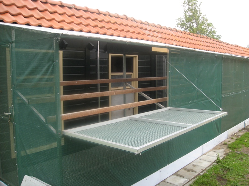 Duivensport/ volièrebouw